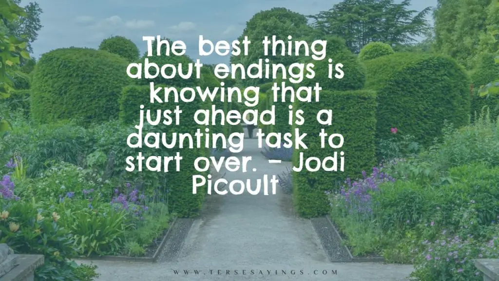 Best 80 + Starting Over Quotes That Will You Motivate