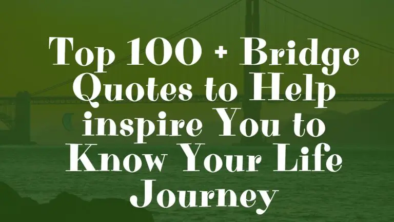 Top 100 + Bridge Quotes to Help inspire You to Know Your Life Journey