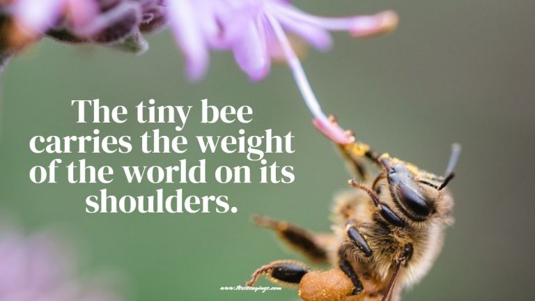 Bee Quotes