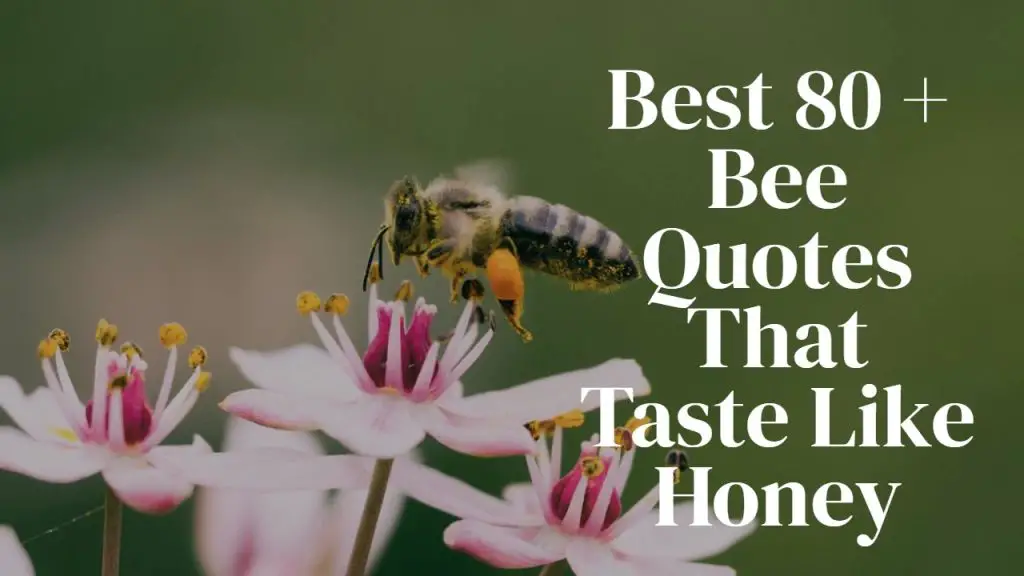 Bee Quotes