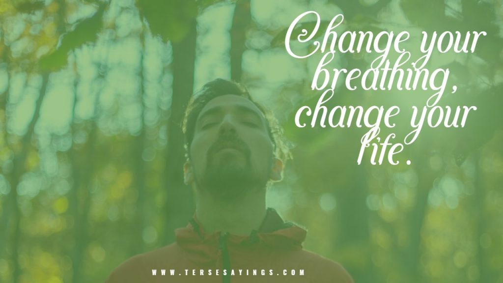 Best 70 + Breathe Quotes That Will Help You Relax