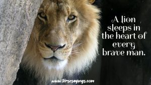 Best 100+ Attitude Powerful Lion Quotes