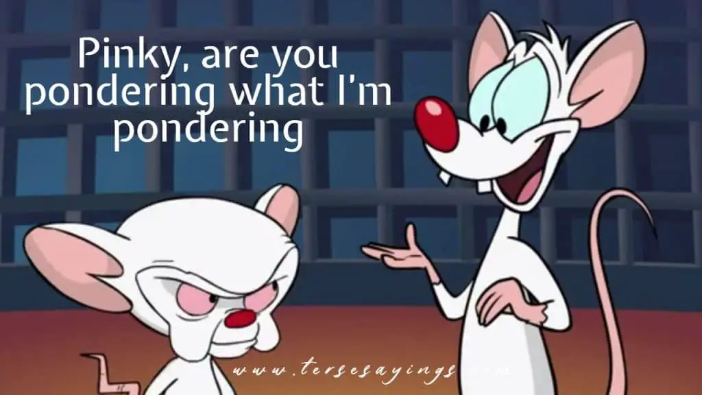 Pinky and the Brain Quotes