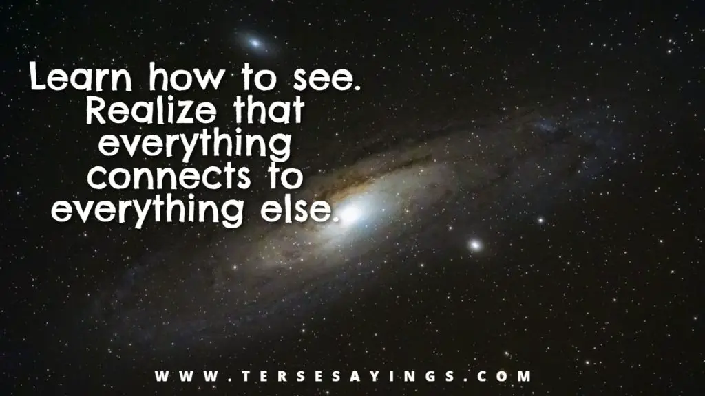 Best 60 + Universe Quotes that are full of wisdom