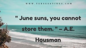June Quotes