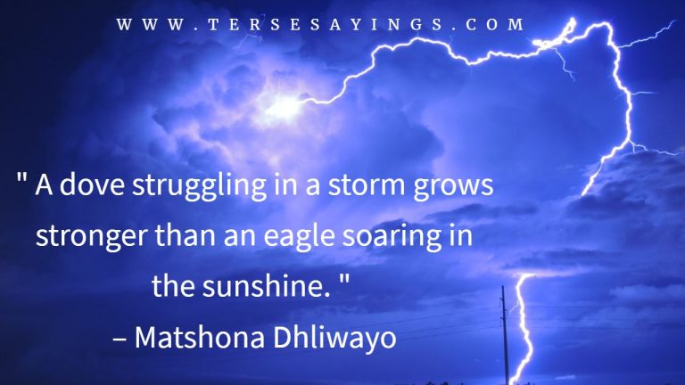 Storm Quotes