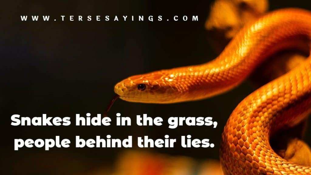 Snake Quotes