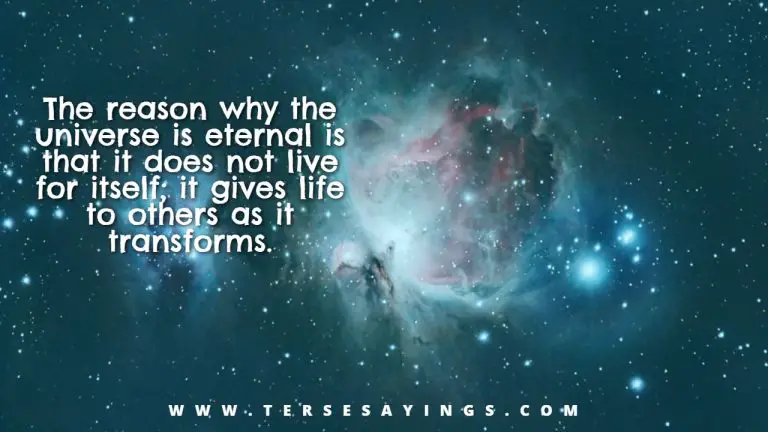 Best 60 + Universe Quotes that are full of wisdom