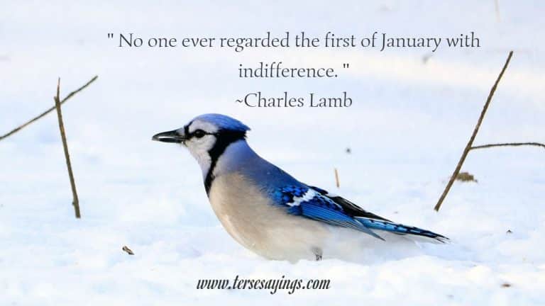 January Quotes, Best January Quotes, Inspirational January Quotes