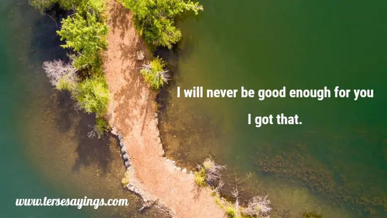 Not Good Enough Quotes, Famous Not Good Enough Quotes