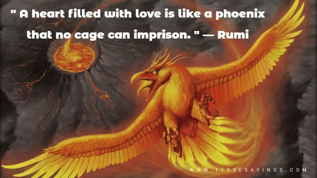 Phoenix Quotes, Popular Phoenix Quotes, Phoenix Quotes Short