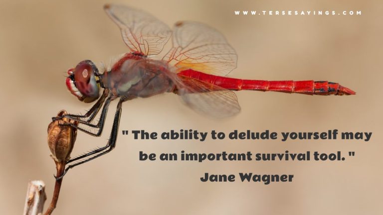 Survival Quotes, Motivational Survival Quotes