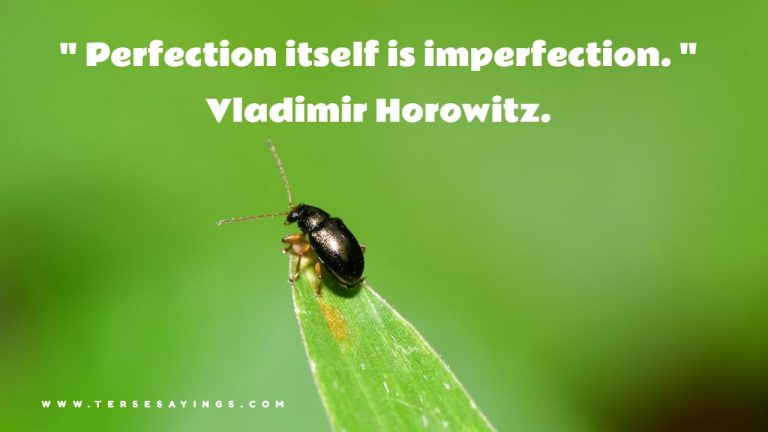 Perfection Quotes, Famous Perfection Quotes