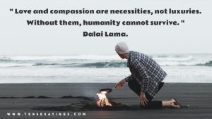 Survival Quotes, Motivational Survival Quotes