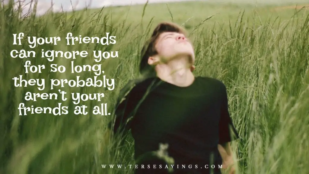 Being Ignored Quotes