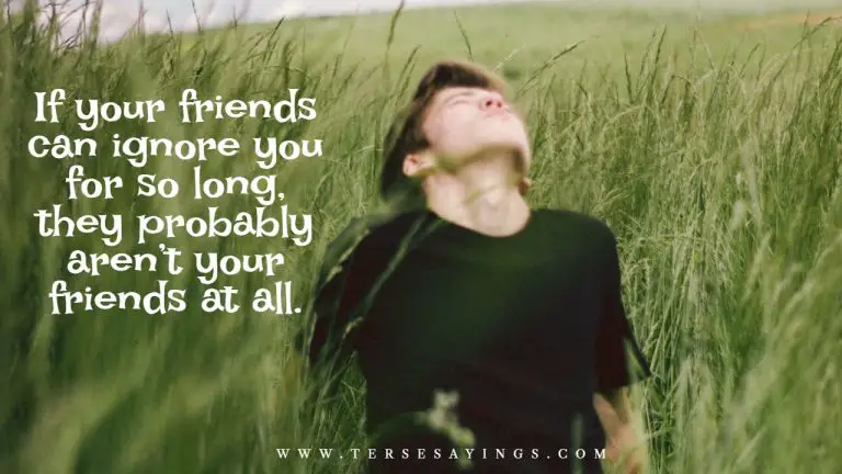 Being Ignored Quotes