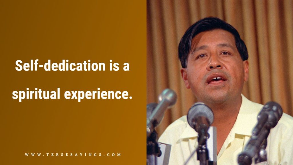Cesar Chavez Quotes, Best Cesar Chavez Quotes