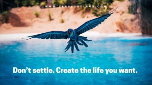 Don’t Settle Quotes, Motivational Don’t Settle Quotes