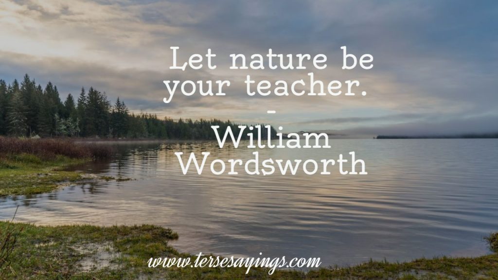 Lake Quotes
