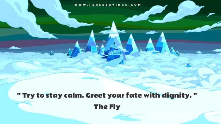 Adventure Time Quotes, Famous Adventure Time Quotes