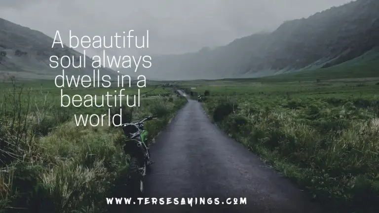 Beautiful Soul Quotes