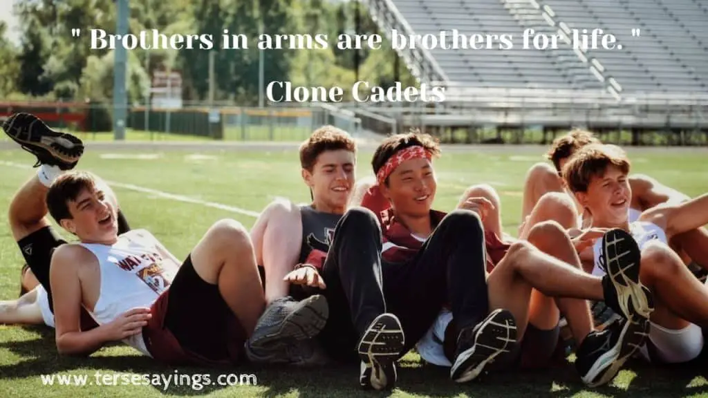 Brotherhood Quotes, Best Brotherhood Quotes