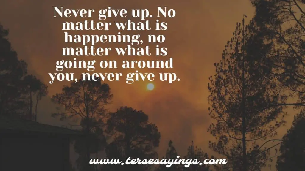 Maybe It's Time To Give Up Quotes